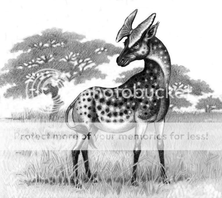 Climacoceratidae Animated Gifs | Photobucket